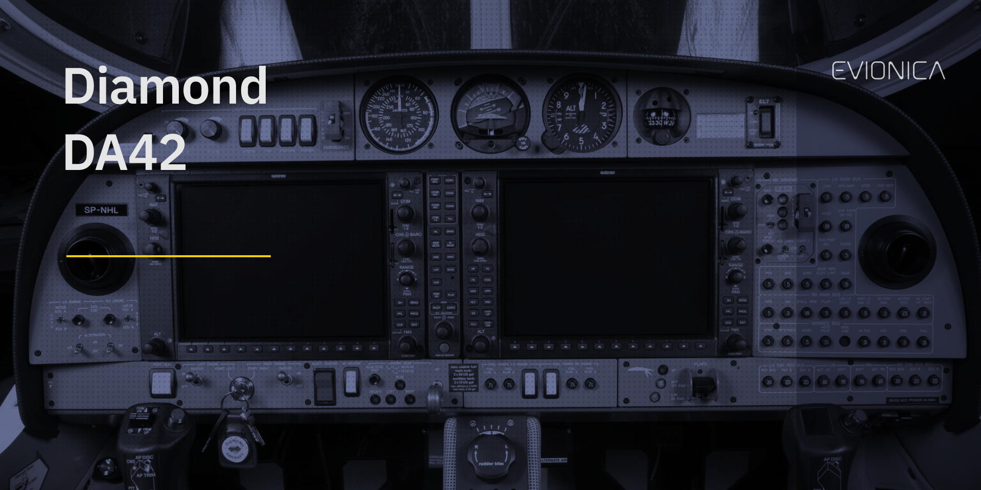 Evionica — Diamond DA42 E-Learning